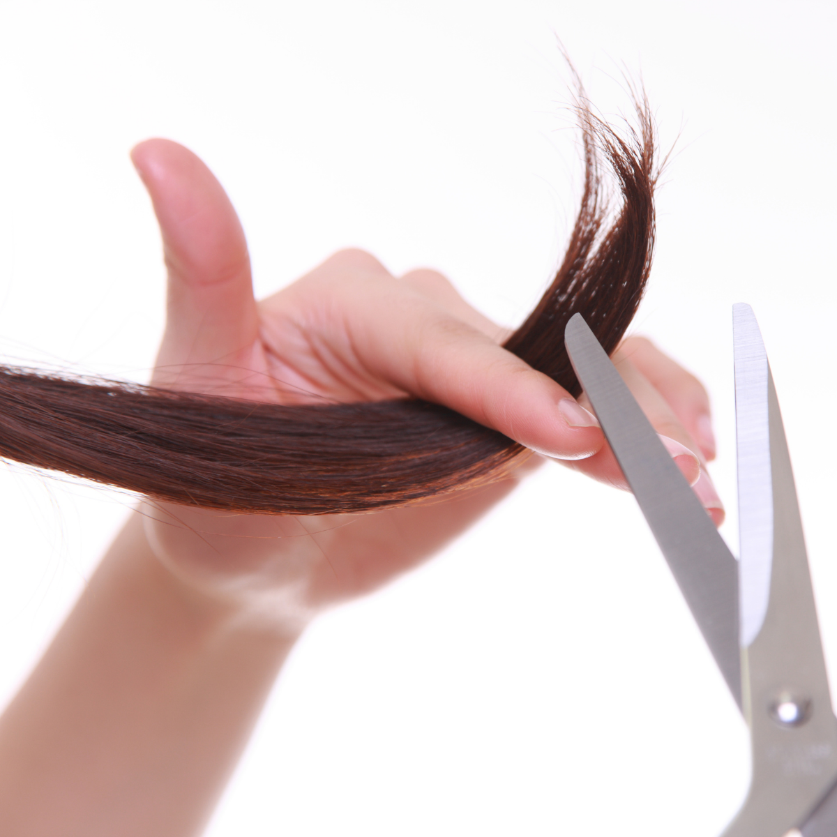 DunaSoft | Todo el Software para tu Centro de Belleza - DunaSoft